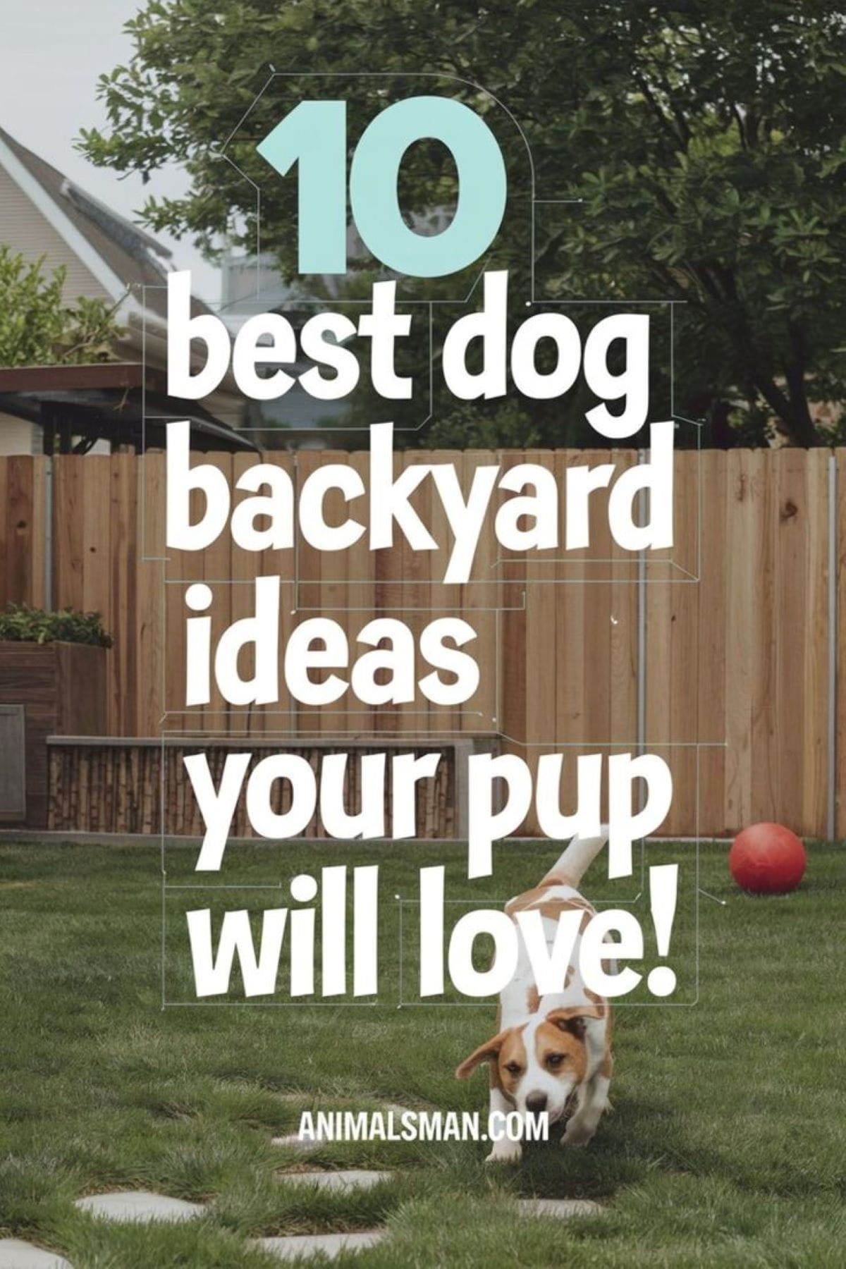 Best Dog Backyard Ideas for a Safe and Fun Outdoor Space - Animalsman