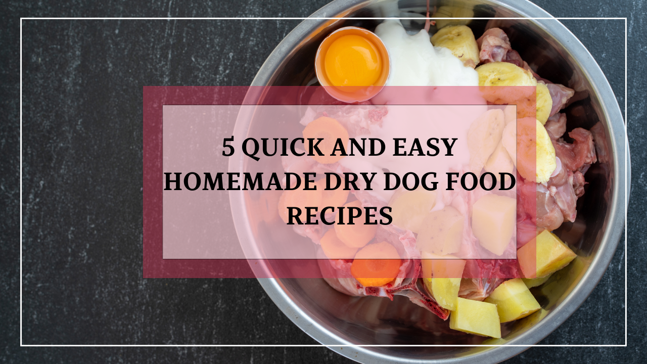 5 Quick and Easy Homemade Dry Dog Foods: Nutritious Recipes and Tips ...