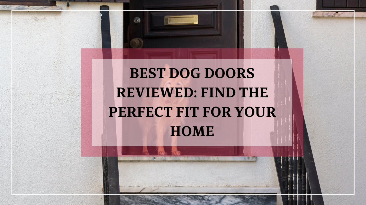 Best Dog Doors Reviewed: Find the Perfect Fit for Your Home - Animalsman