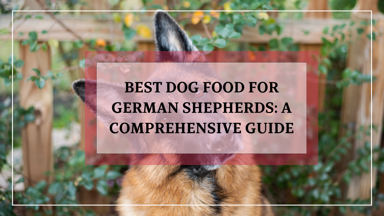 Best Dog Food for German Shepherds: A Comprehensive Guide - Animalsman