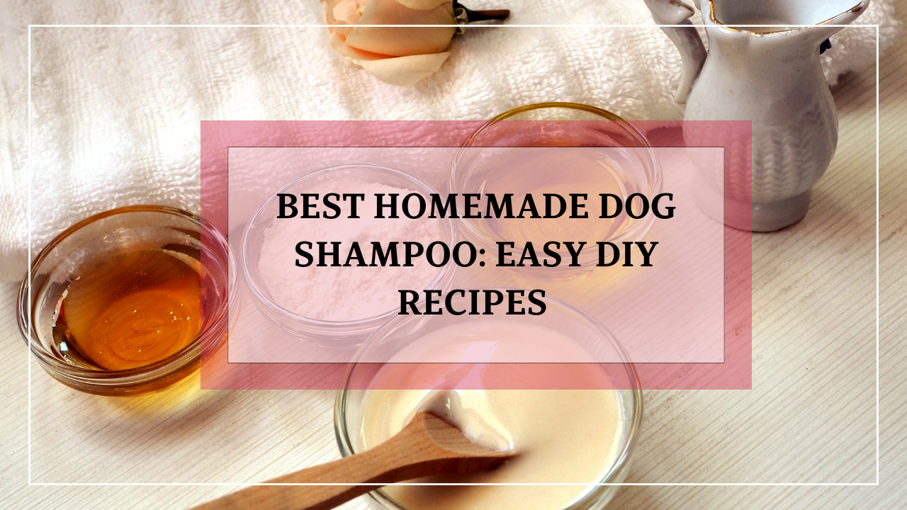 Best Homemade Dog Shampoo: Easy DIY Recipes and Tips for Your Dog's ...
