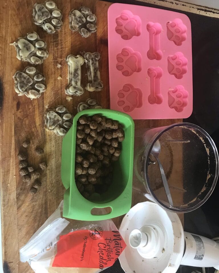 13 Homemade Dog Treats You Can Make for Under $5 - Animalsman