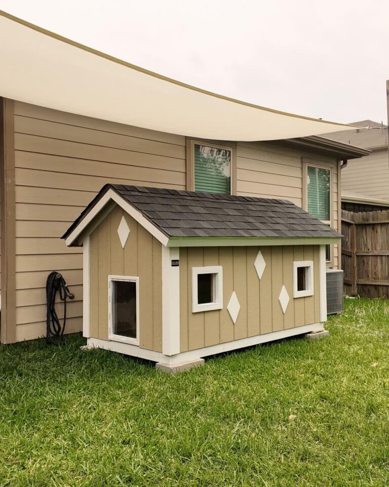 Best Dog Houses for Outside Dogs: The Ultimate Guide for Pet Owners ...