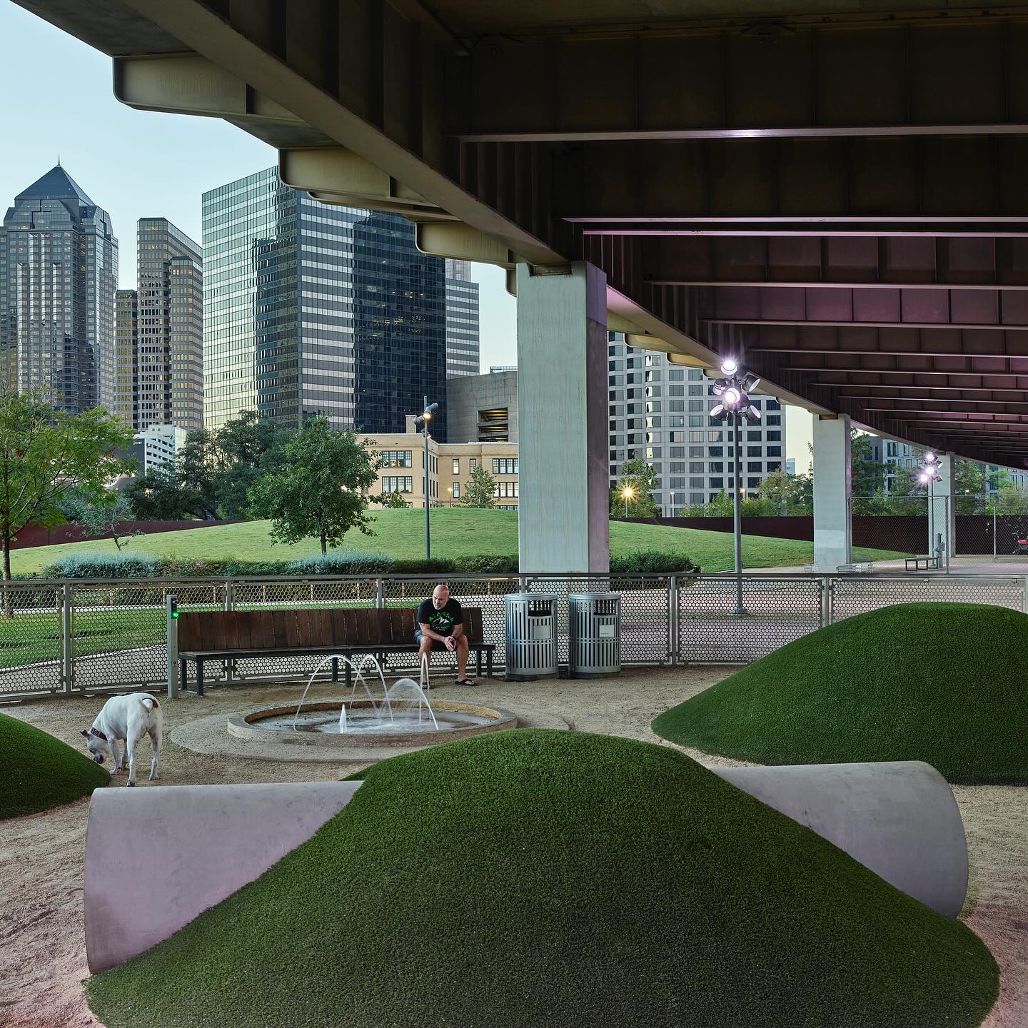 10 Dog Park Features That Make Dogs (and Owners) Actually Want to Stay ...