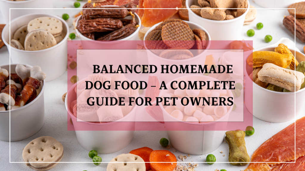 Balanced Homemade Dog Food – A Complete Guide for Pet Owners - Animalsman