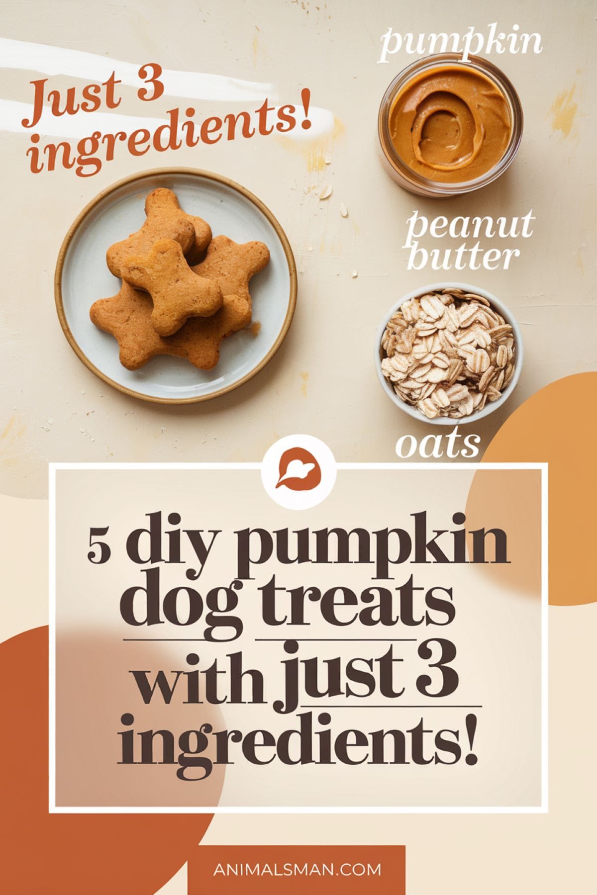 5 Homemade Pumpkin Dog Treats: Easy & Healthy Recipes for Your Pup ...