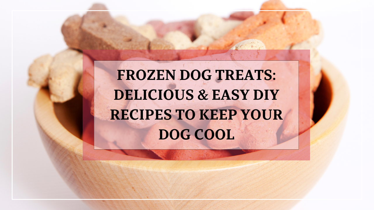 Beat the Heat: 10 Frozen Dog Treats You Can Make in 10 Minutes - Animalsman