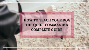 How to Teach Your Dog the Quiet Command: A Complete Guide - Animalsman