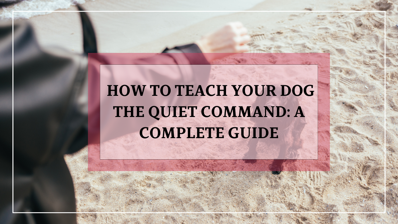 How to Teach Your Dog the Quiet Command: A Complete Guide - Animalsman