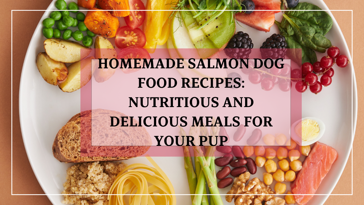 Why Salmon Might Be the Best Thing You Add to Your Dog's Bowl - Animalsman