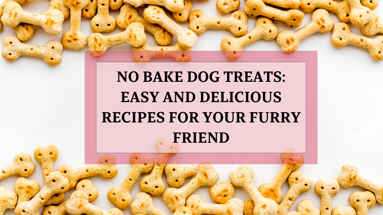 No Bake Dog Treats: Easy and Delicious Recipes for Your Furry Friend ...