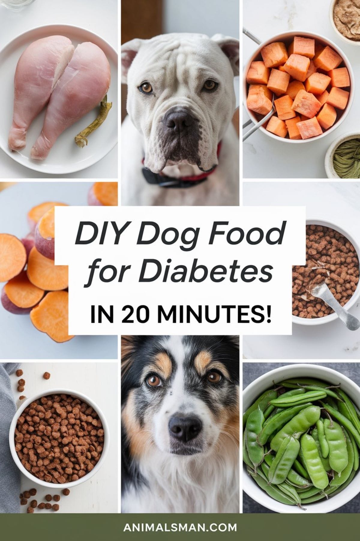 Homemade Dog Food for Diabetic Dogs: A Complete Guide to Managing ...