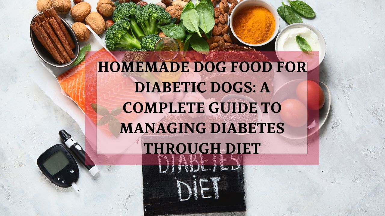 Homemade Dog Food for Diabetic Dogs: A Complete Guide to Managing ...