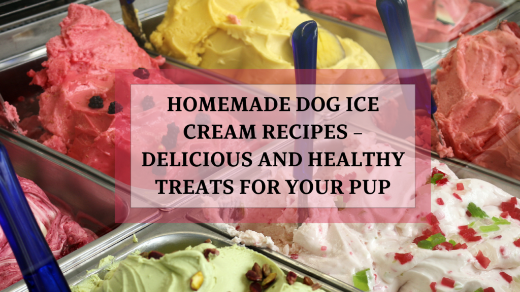 Homemade Dog Ice Cream Recipes – Delicious and Healthy Treats for Your ...