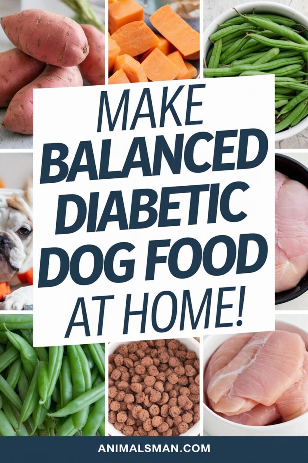 Homemade Dog Food for Diabetic Dogs: A Complete Guide to Managing ...