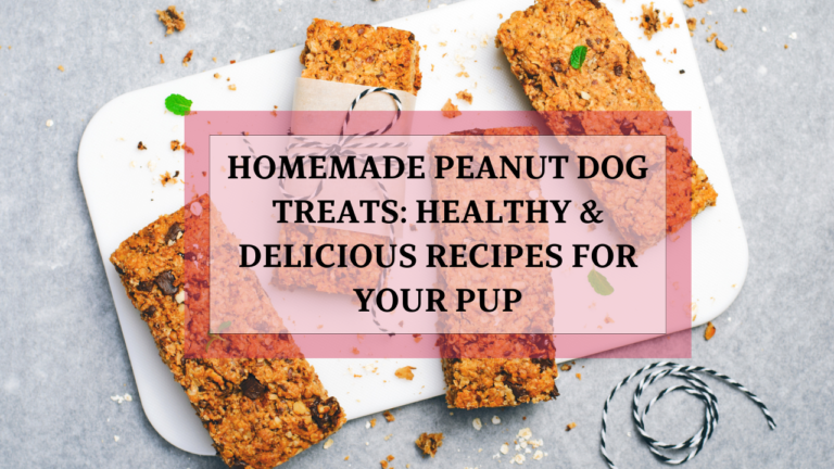 Peanut Butter Dog Treats: Are They Actually Safe? (Plus 5 Recipes ...