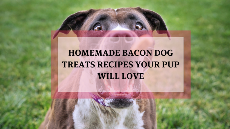 Homemade Bacon Dog Treats Recipes Your Pup Will Love - Animalsman