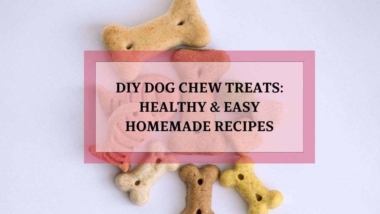 DIY Dog Chew Treats: Healthy & Easy Homemade Recipes - Animalsman