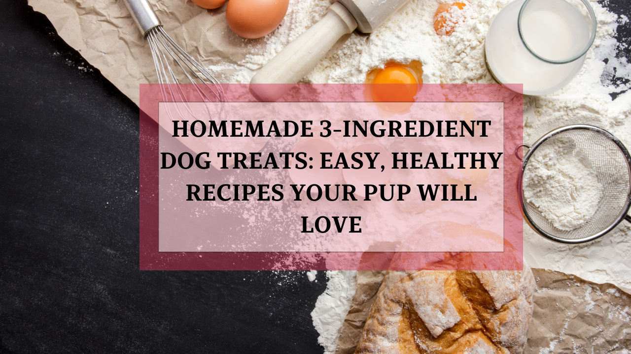3 Ingredients. 20 Minutes. The Only Dog Treat Recipe You Need - Animalsman