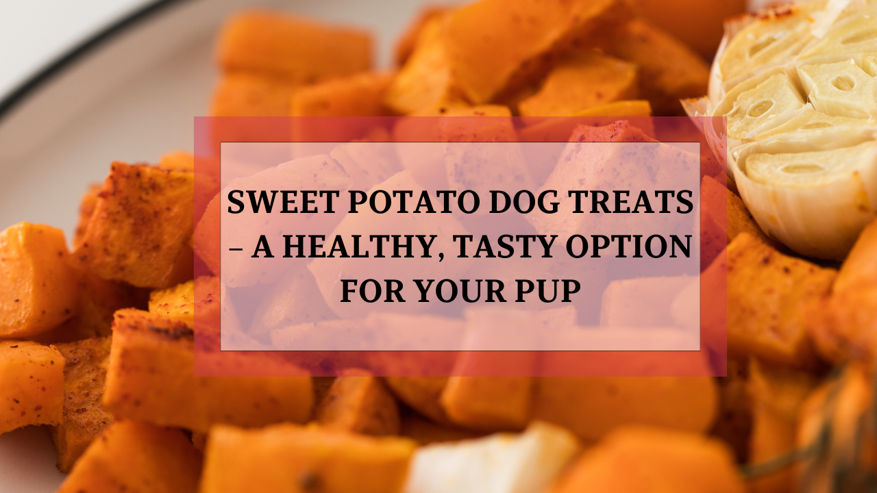 7 Sweet Potato Dog Treats – A Healthy, Tasty Option for Your Pup ...