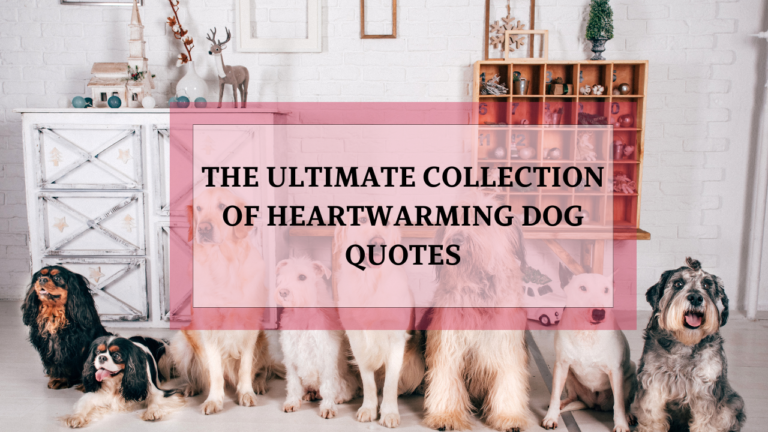 The Ultimate Collection of Heartwarming Dog Quotes - Animalsman