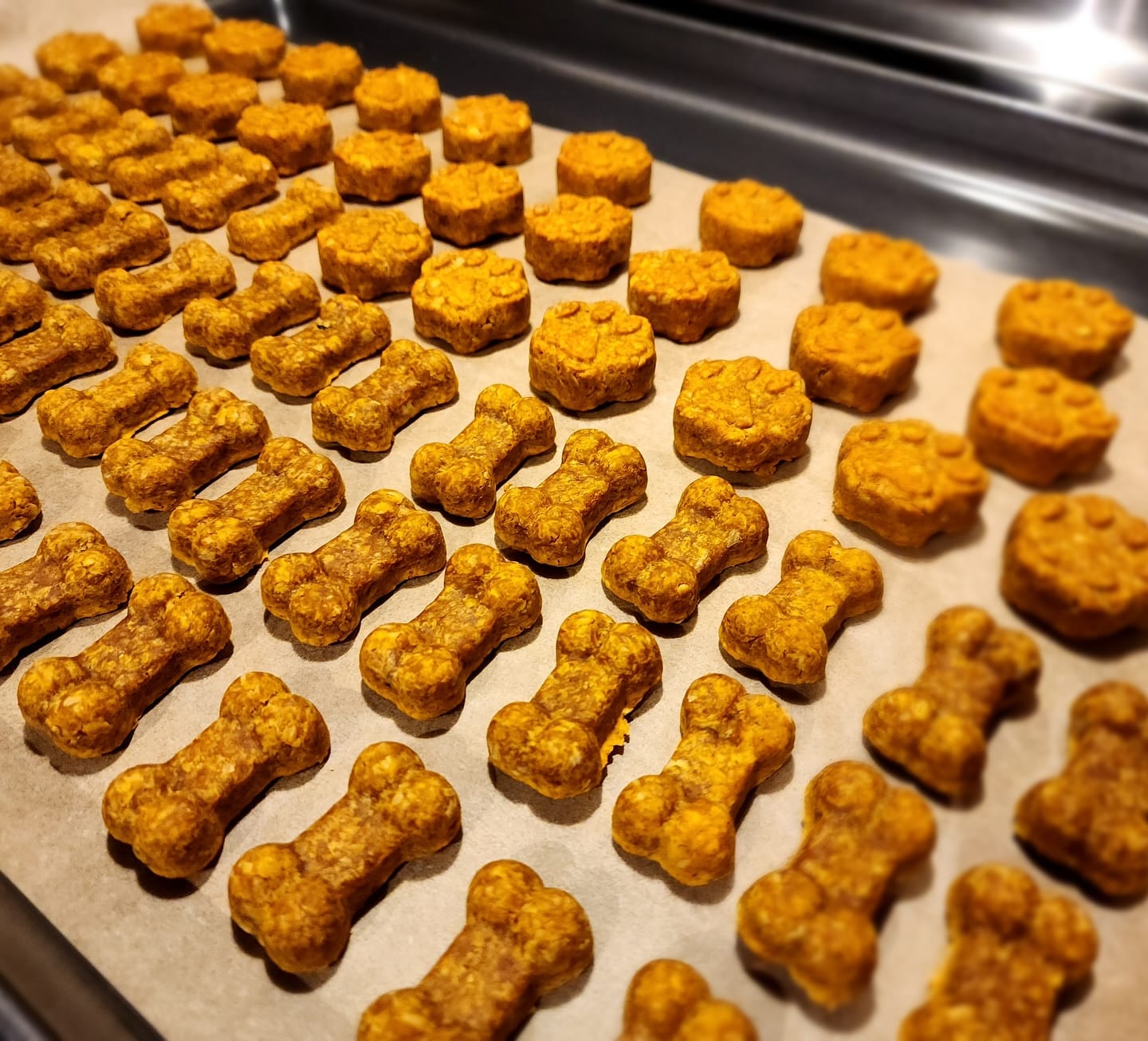 Baking Dog Treats at Home: Everything You Need to Know Before You Start ...