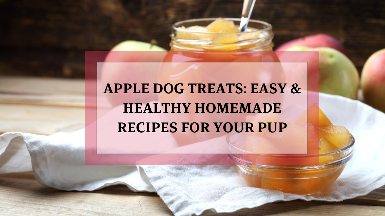 Can Dogs Eat Apples? Yes And Here Are 5 Treat Recipes to Prove It ...