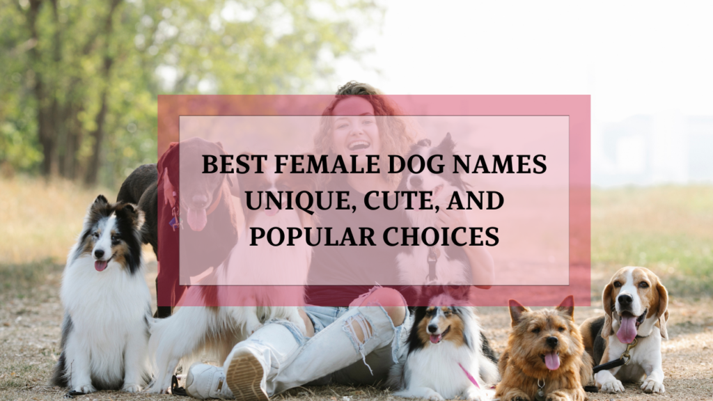 Best Female Dog Names – Unique, Cute, and Popular Choices - Animalsman
