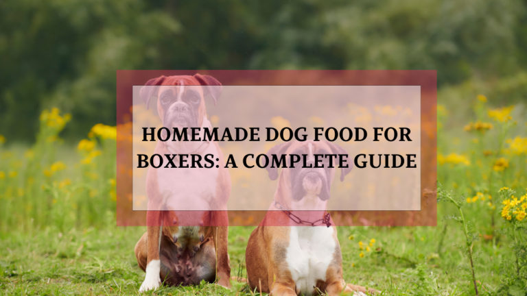 Homemade Dog Food for Boxers: A Complete Guide - Animalsman
