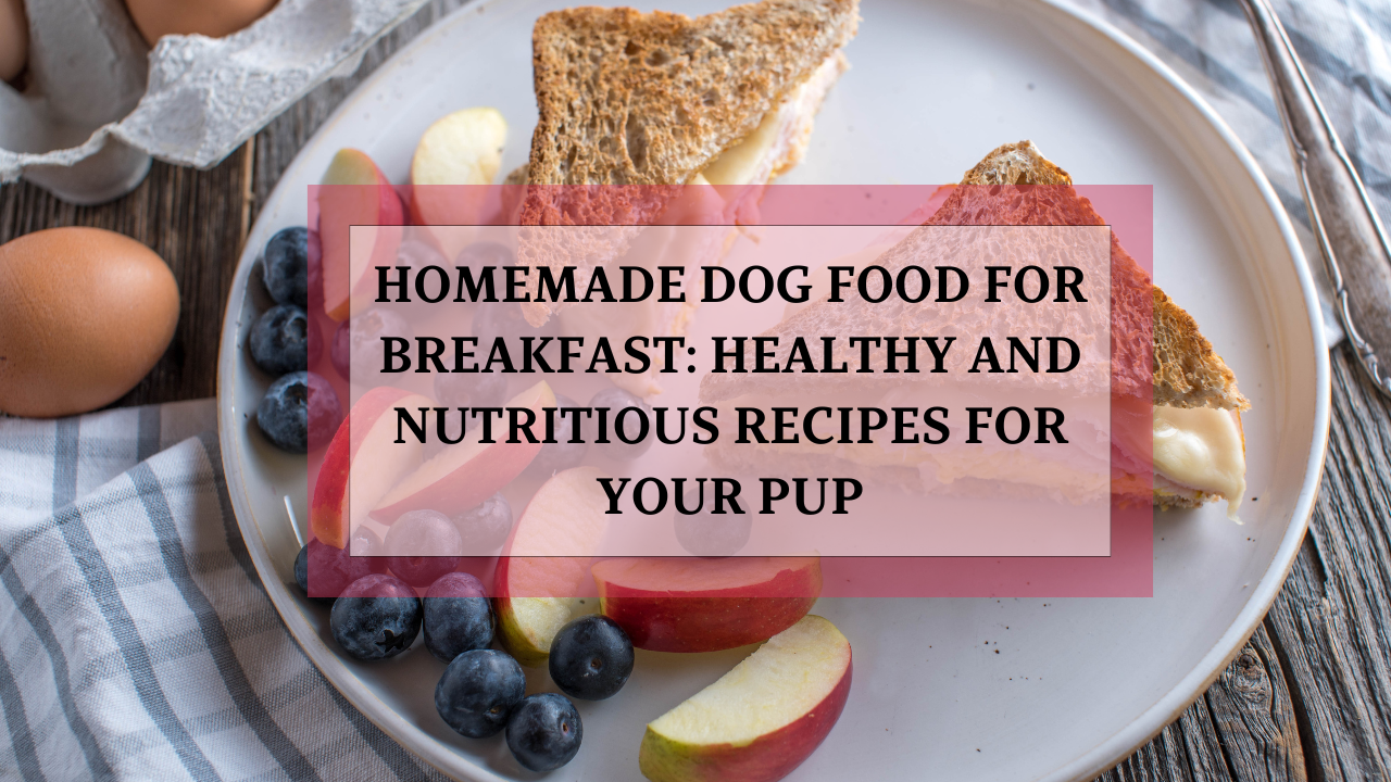 Homemade Dog Food for Breakfast: Healthy and Nutritious Recipes for ...