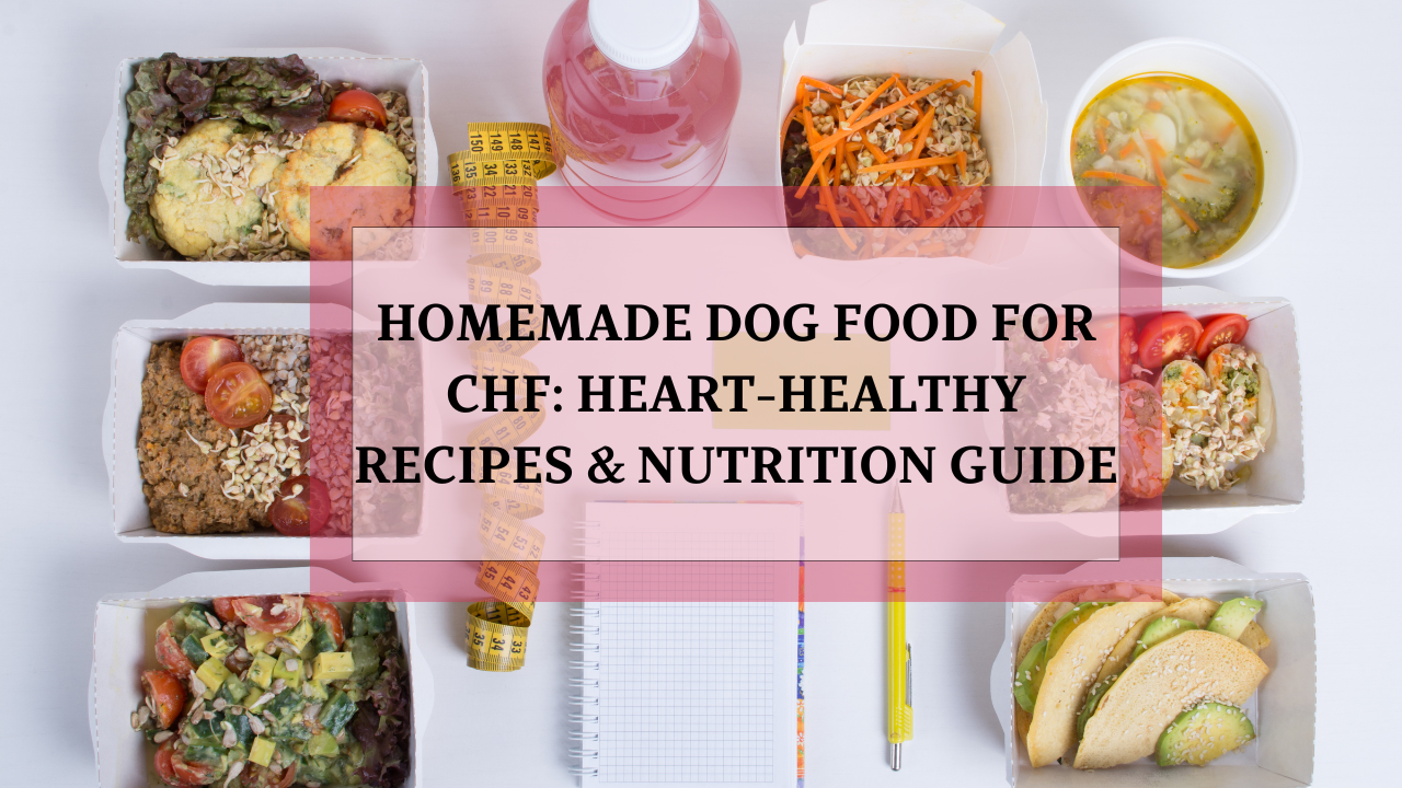 Homemade Dog Food for CHF: Heart-Healthy Recipes & Nutrition Guide ...