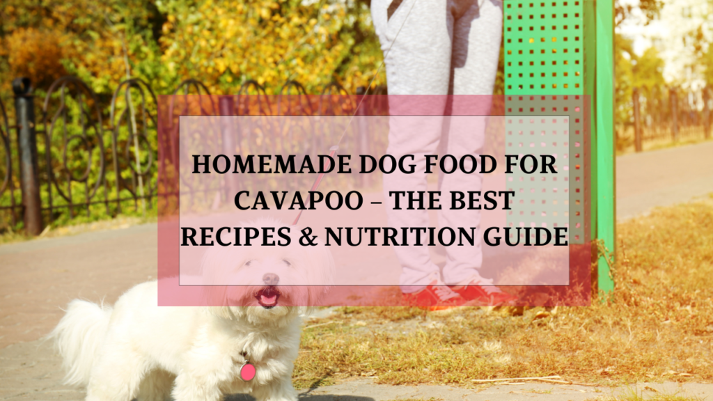 Homemade Dog Food for Cavapoo – The Best Recipes & Nutrition Guide ...
