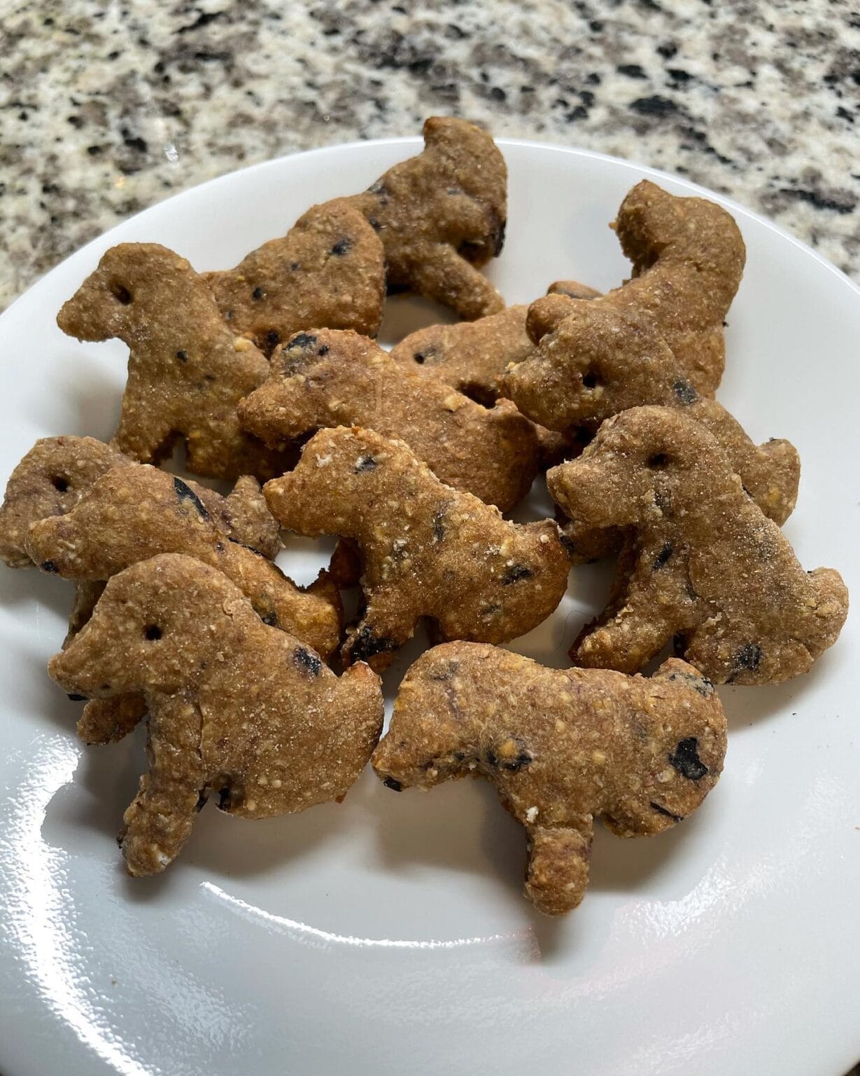 Blueberry Dog Treats: The Antioxidant Snack Your Dog Deserves - Animalsman