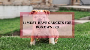 11 Must-Have Gadgets for Dog Owners - Animalsman