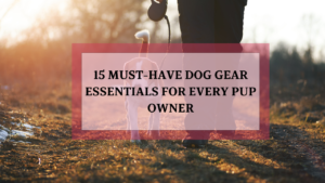 15 Must-Have Dog Gear Essentials for Every Pup Owner - Animalsman
