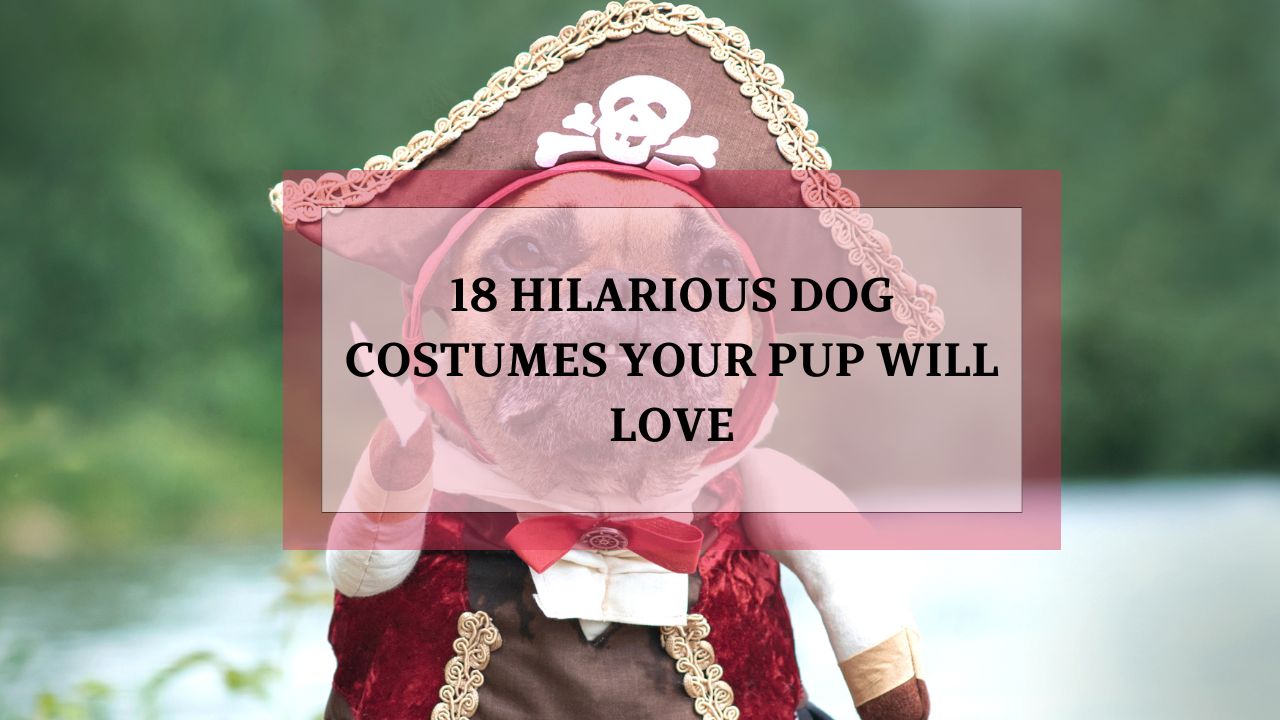 18 Hilarious Dog Costumes Your Pup Will Love! - Animalsman