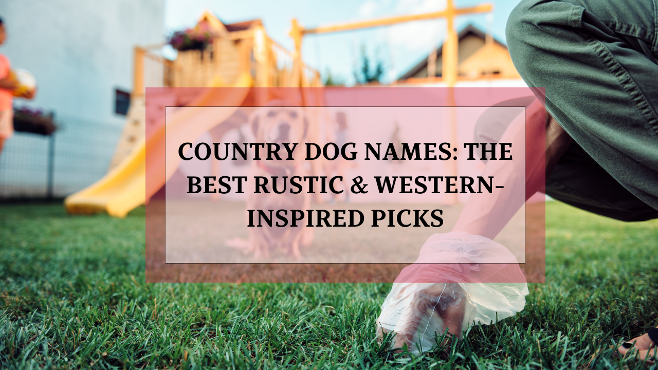 Country Dog Names: The Best Rustic & Western-Inspired Picks - Animalsman