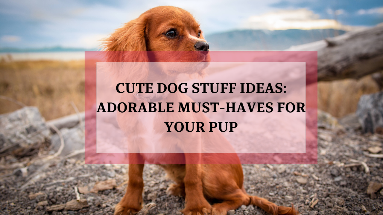 Cute Dog Stuff Ideas: Adorable Must-Haves for Your Pup - Animalsman