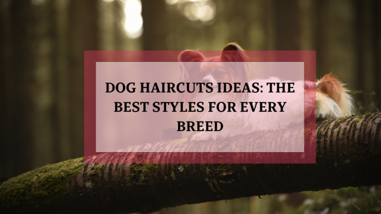 Dog Haircuts Ideas: The Best Styles for Every Breed - Animalsman