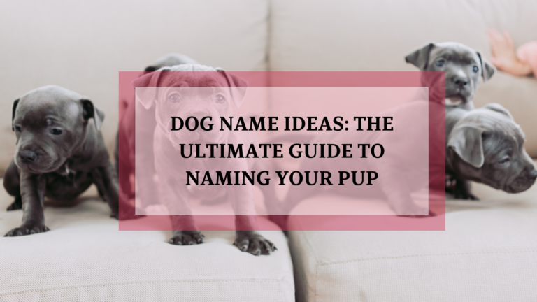 Dog Name Ideas: The Ultimate Guide to Naming Your Pup - Animalsman
