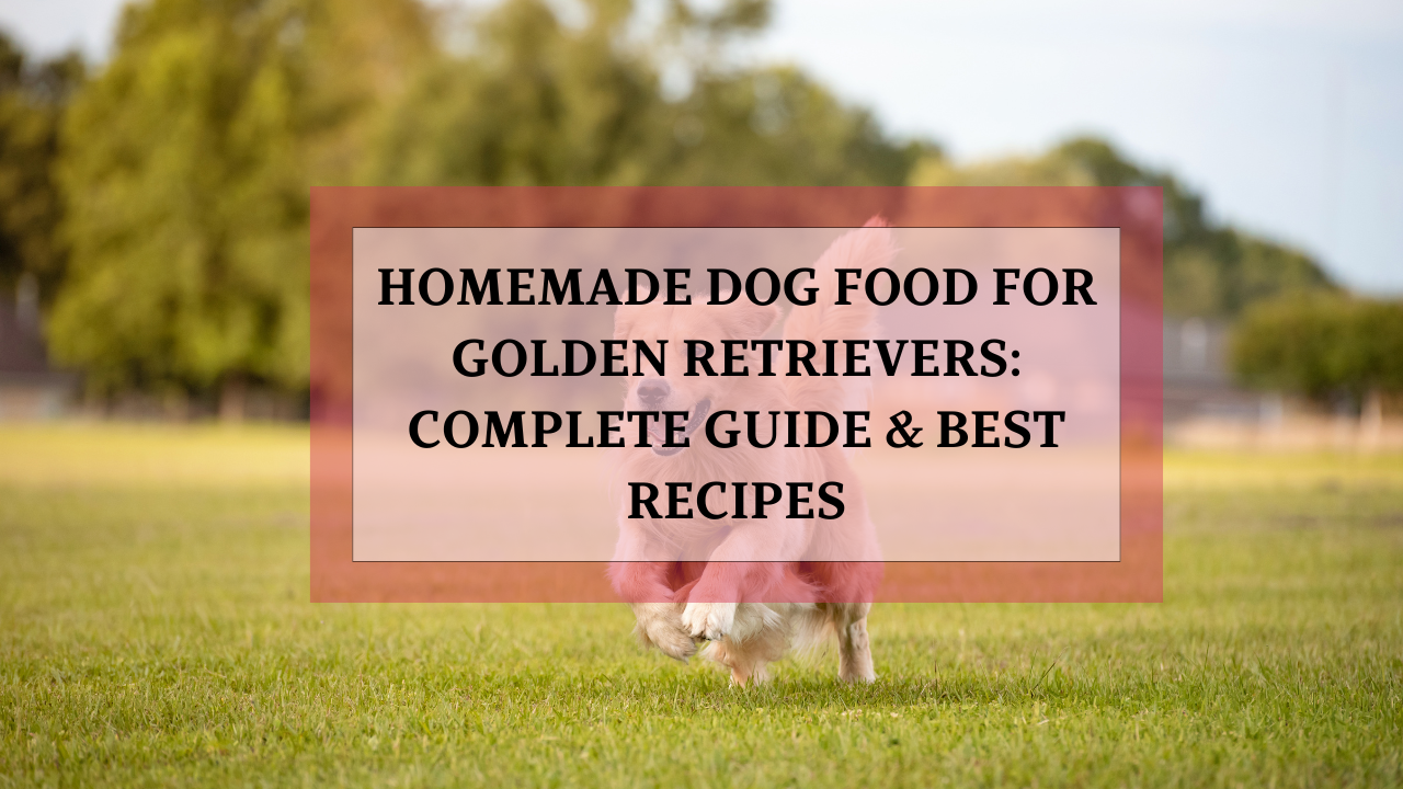Homemade Dog Food for Golden Retrievers: Complete Guide & Best Recipes ...