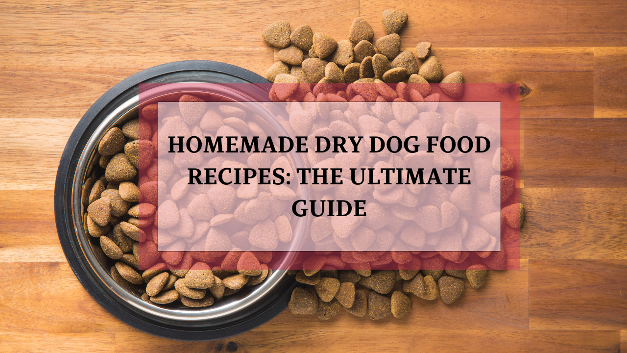 Homemade Dry Dog Food Recipes: The Ultimate Guide - Animalsman
