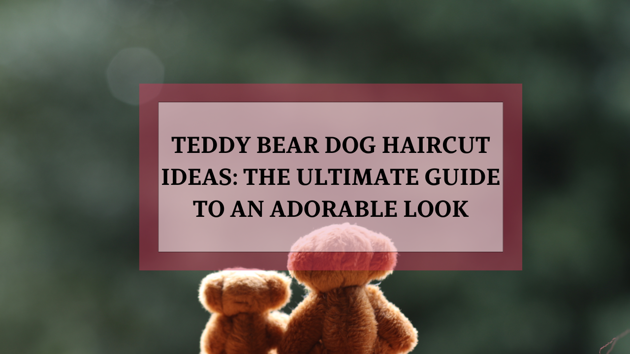 Teddy Bear Dog Haircut Ideas: The Ultimate Guide to an Adorable Look ...