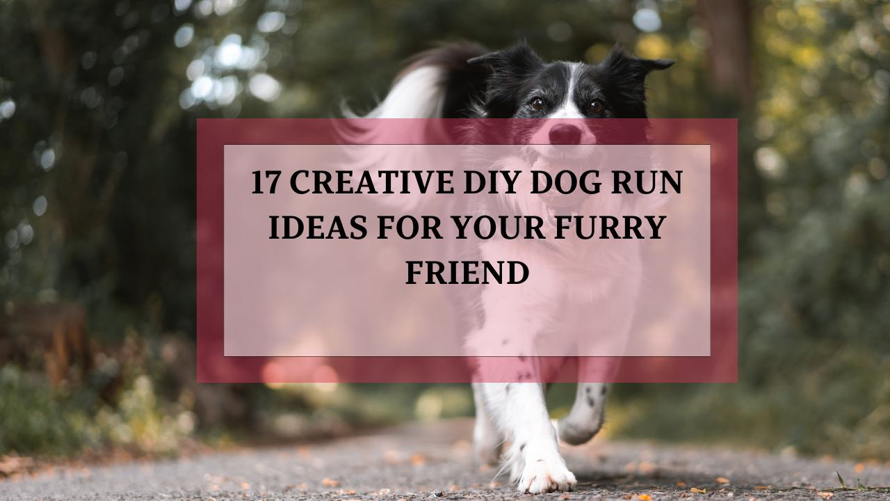 17 DIY Dog Run Ideas Built for Every Budget and Backyard Size - Animalsman