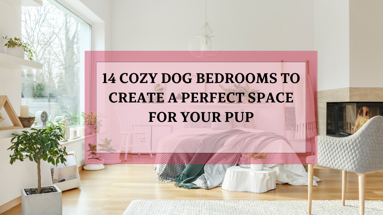 14 Cozy Dog Bedrooms to Create a Perfect Space for Your Pup - Animalsman
