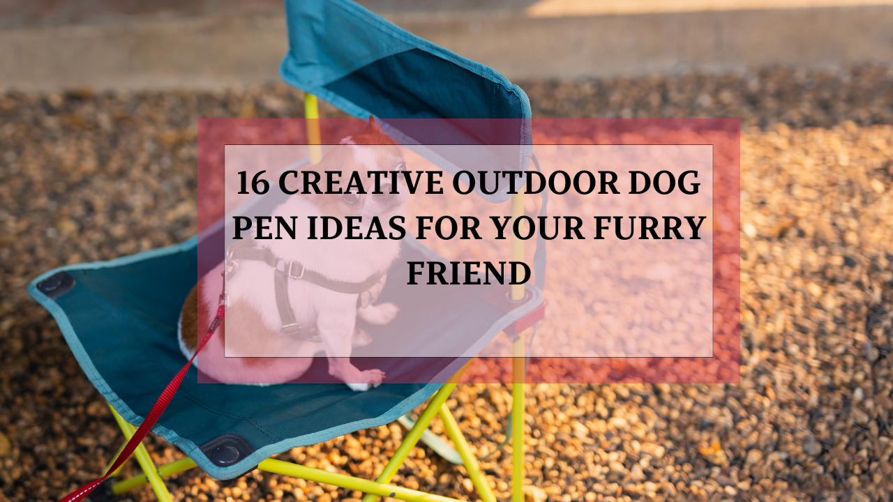 16 Outdoor Dog Pen Ideas That Balance Freedom and Safety - Animalsman