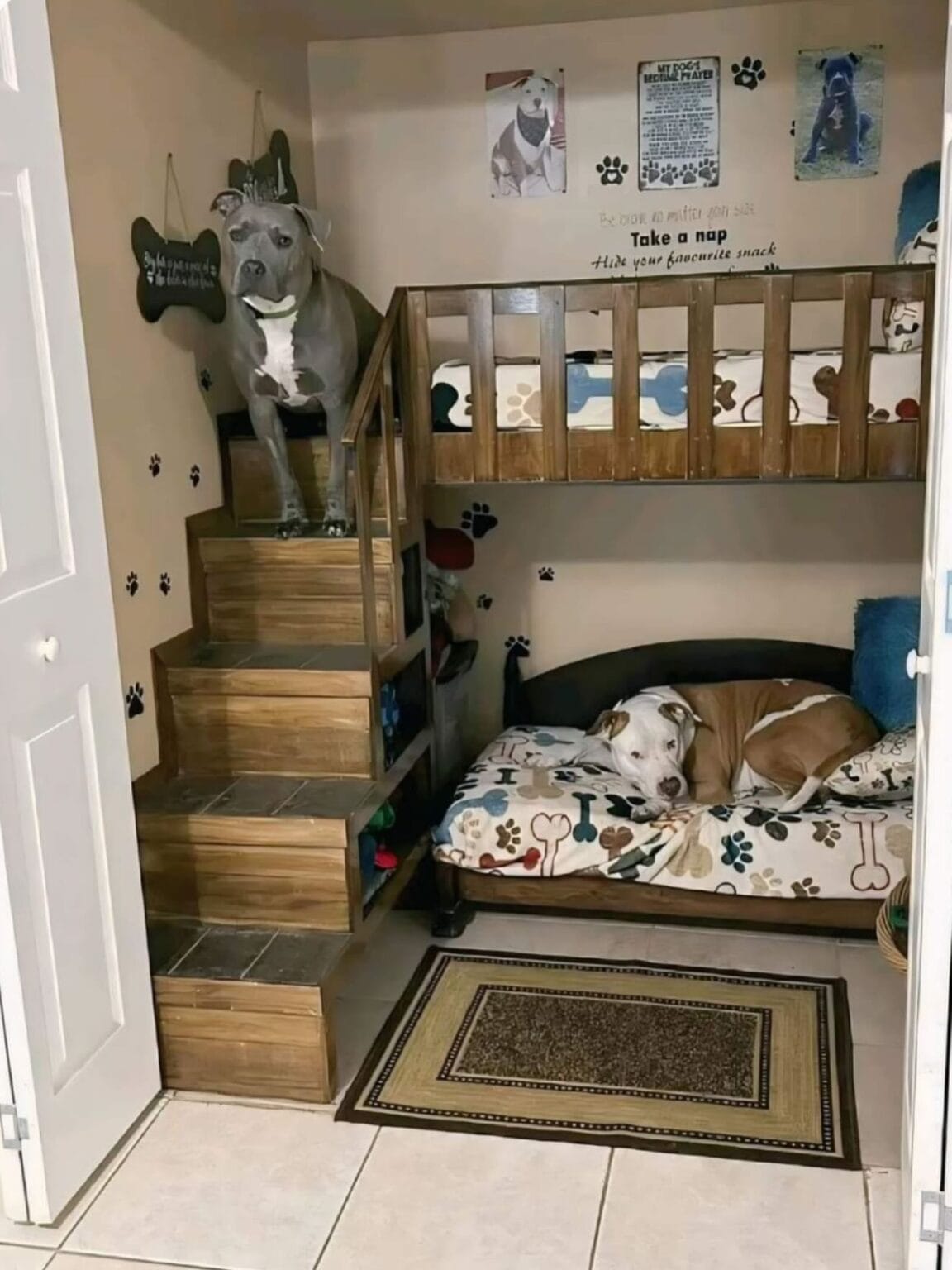 14 Cozy Dog Bedrooms to Create a Perfect Space for Your Pup - Animalsman