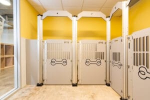 12 Dog Boarding Design Ideas That Keep Dogs Calm and Clients Coming ...