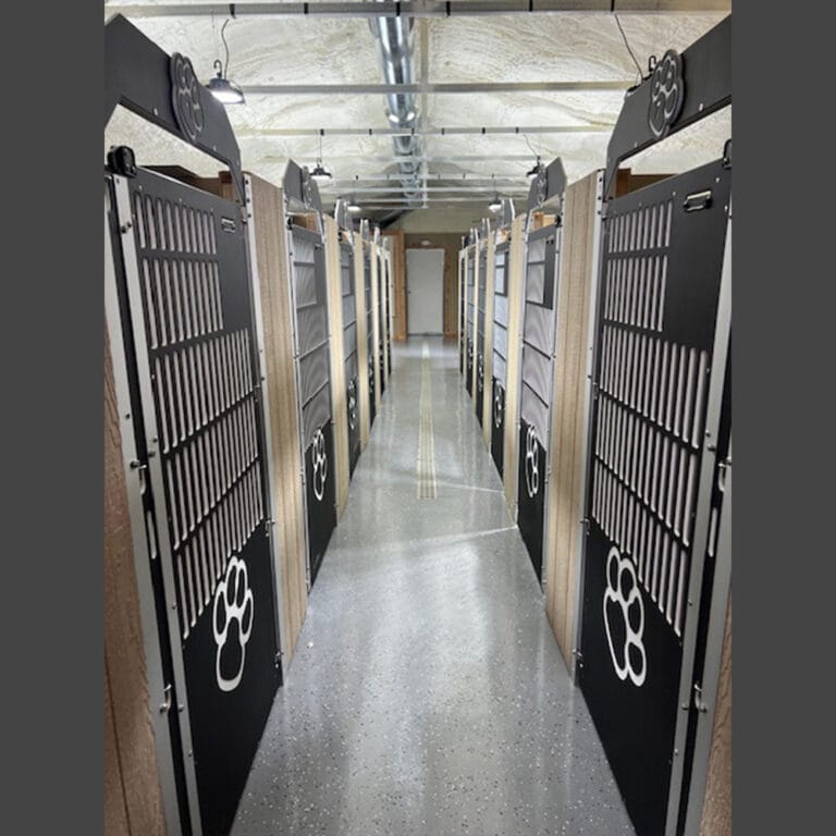 12 Must Have Dog Boarding Facility Ideas to Elevate Pet Care - Animalsman