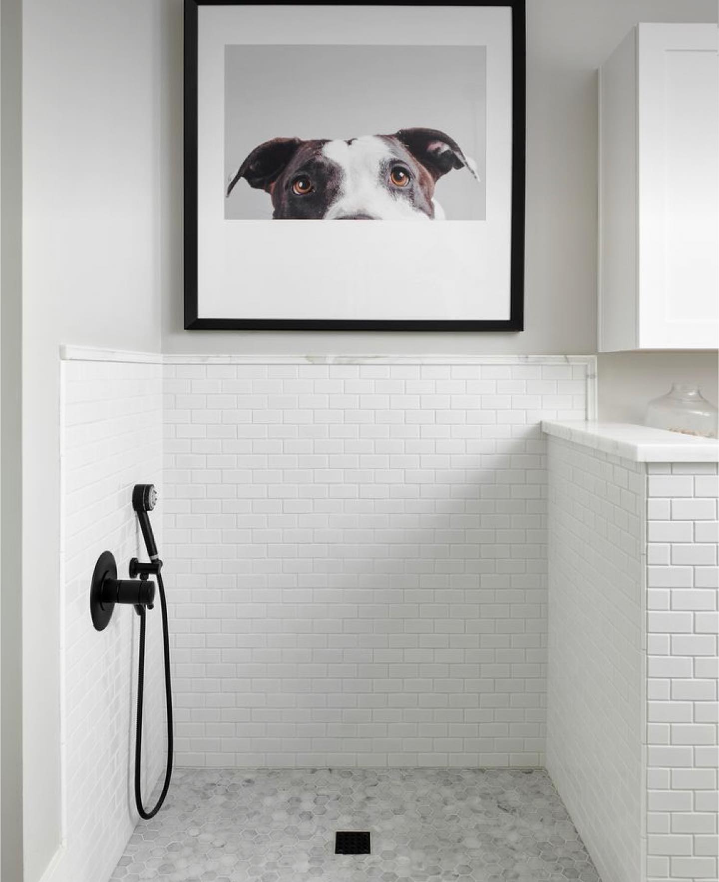 7 Outdoor Dog Washing Stations That Make Bath Time Less Miserable ...